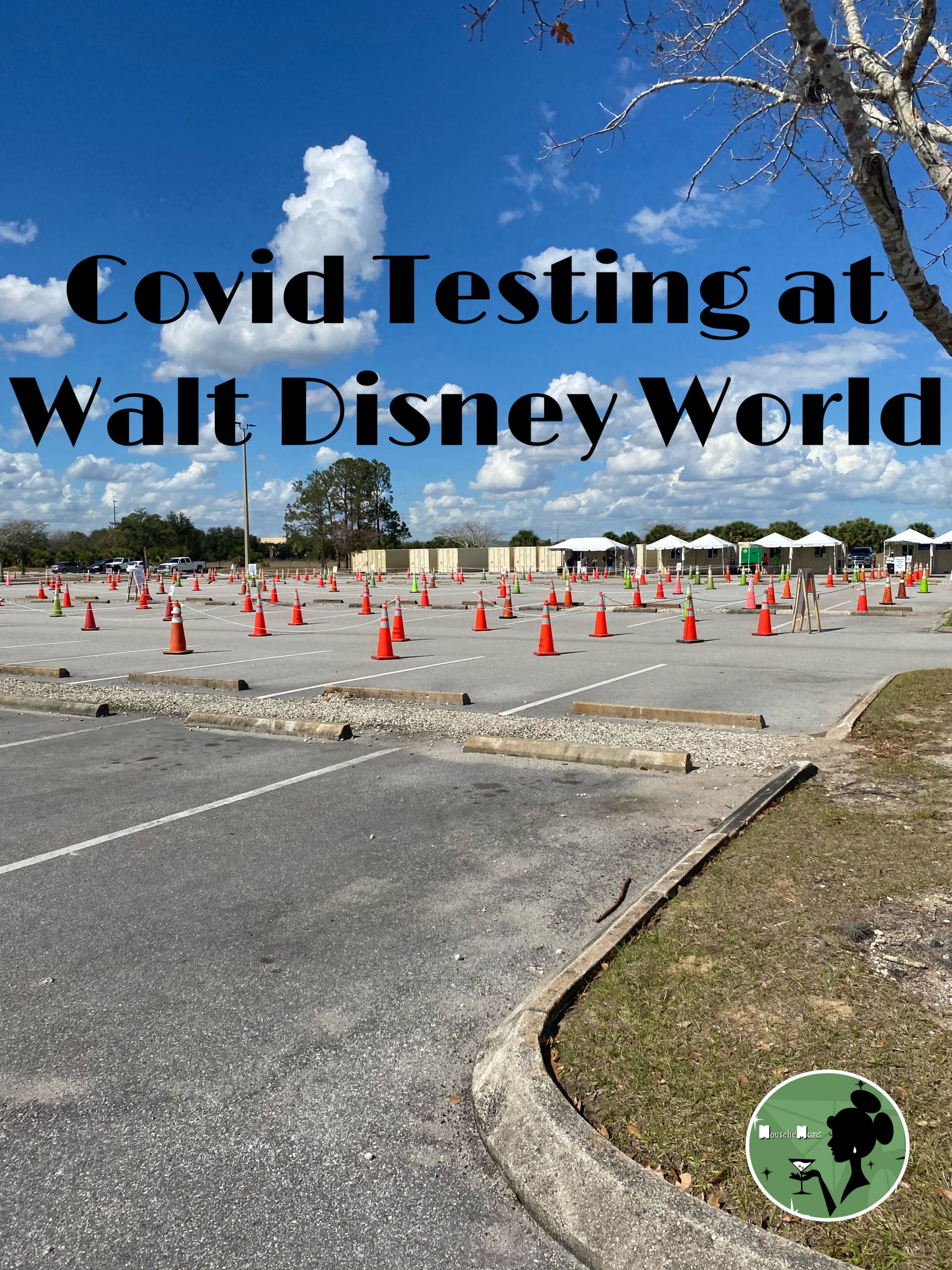 Free Covid Testing at Walt Disney World - Kingdom and Cruise Travel Blog